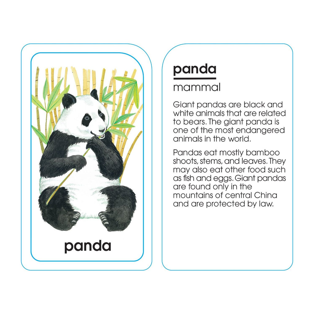 School Zone Animals of All Kinds Flash Cards - Ages 4 and Up, Preschoo ...